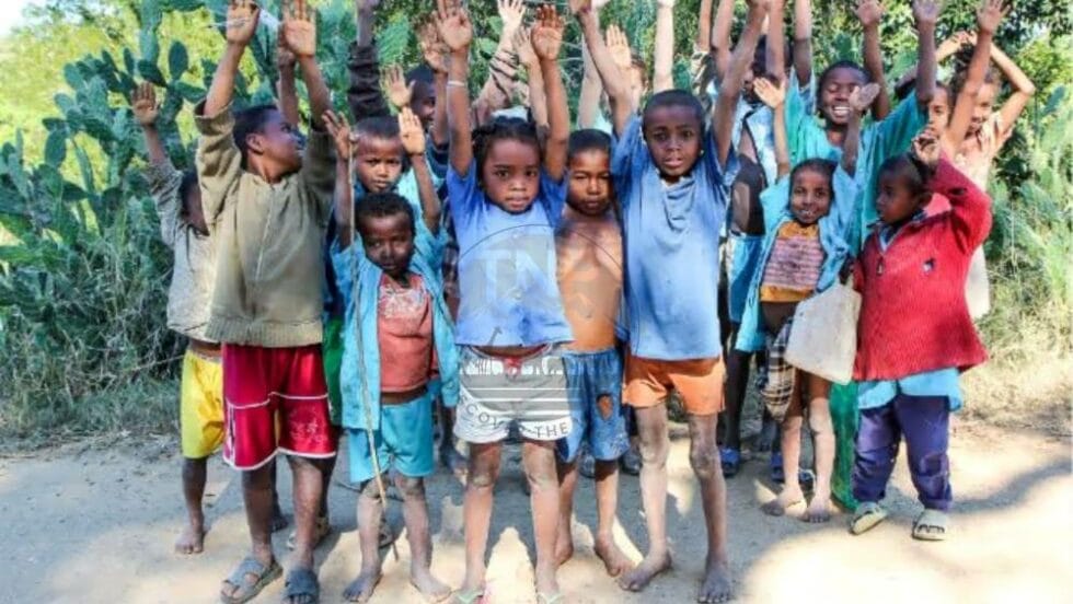 Decoding Demographics: The Rapid Changing Face of Madagascar Population ...